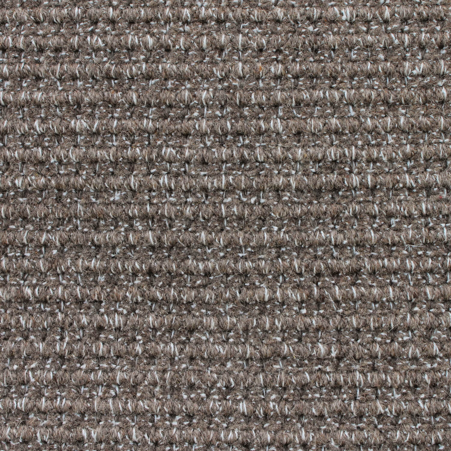 Blanquette Summer Spun | Designer Wool Velvet Office Carpet