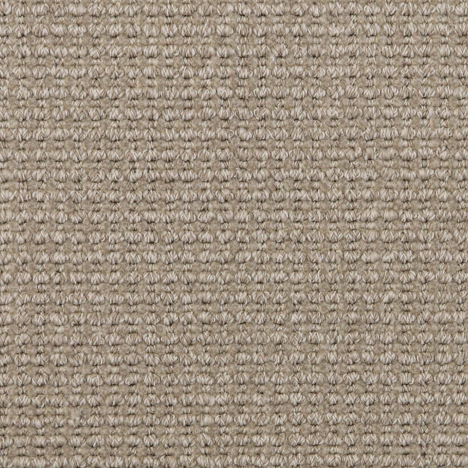 Broadcloth - Horsehair - Bloomsburg Carpet