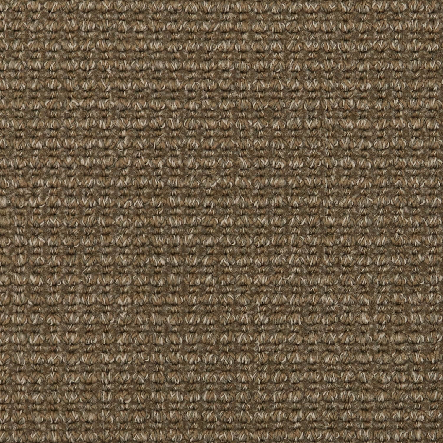 Broadcloth - Cone - Bloomsburg Carpet