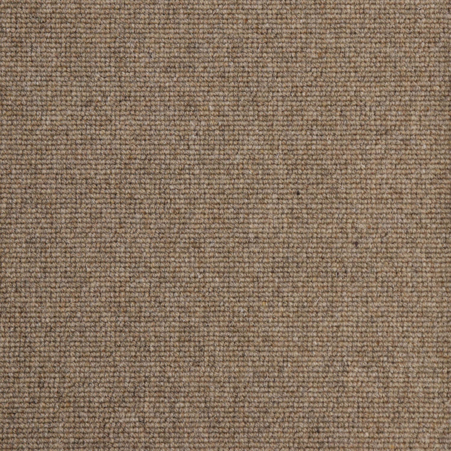 Caravan - Desert Night - Bloomsburg Carpet