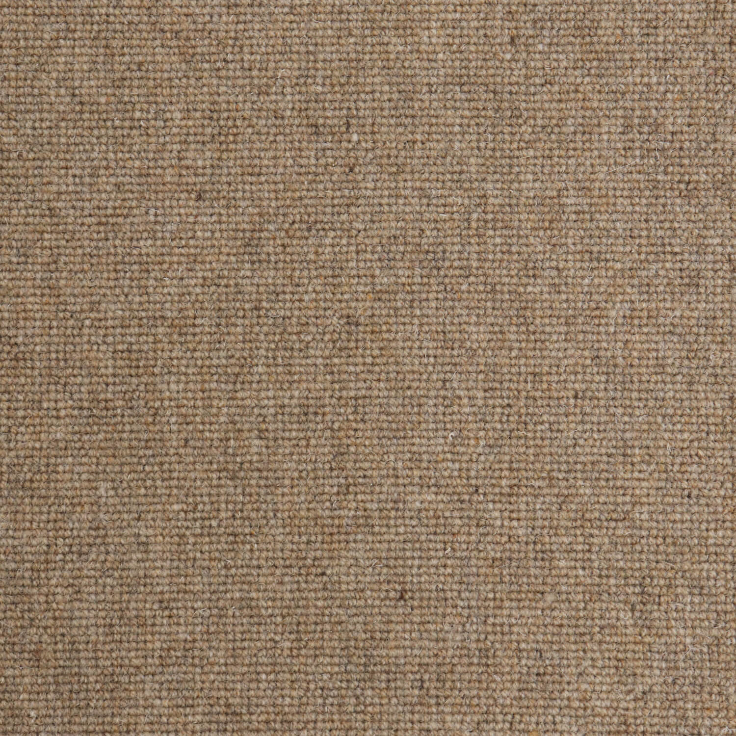 Mojave - Oatmeal - Bloomsburg Carpet