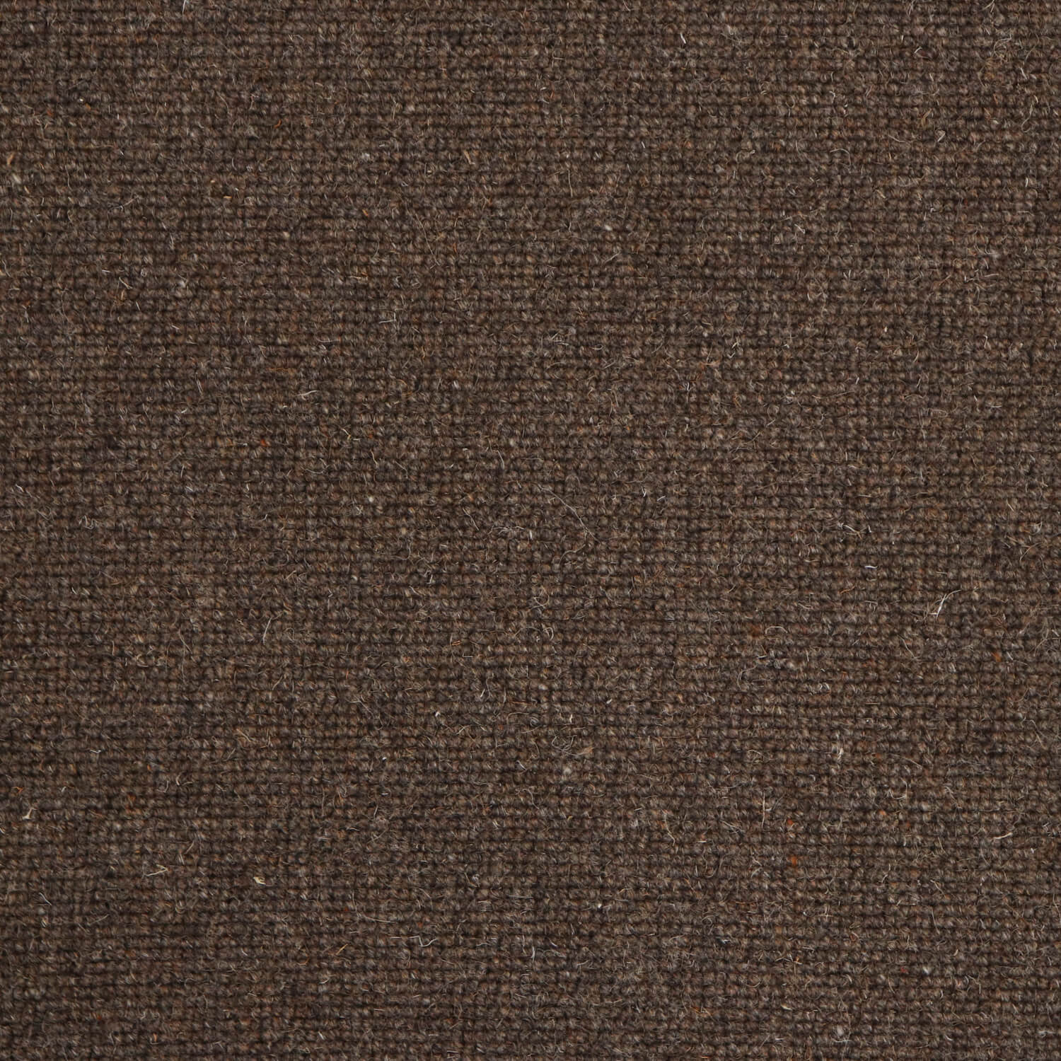 Caravan - Grey Shale - Bloomsburg Carpet