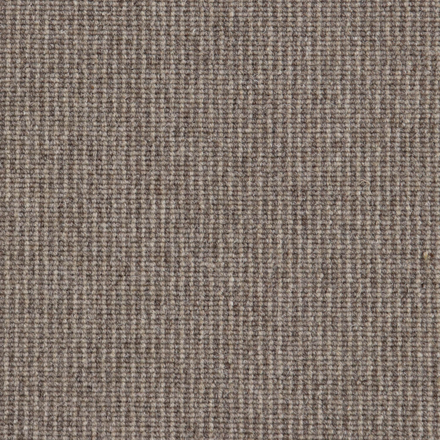 Caravan Tweed - Wheat - Bloomsburg Carpet