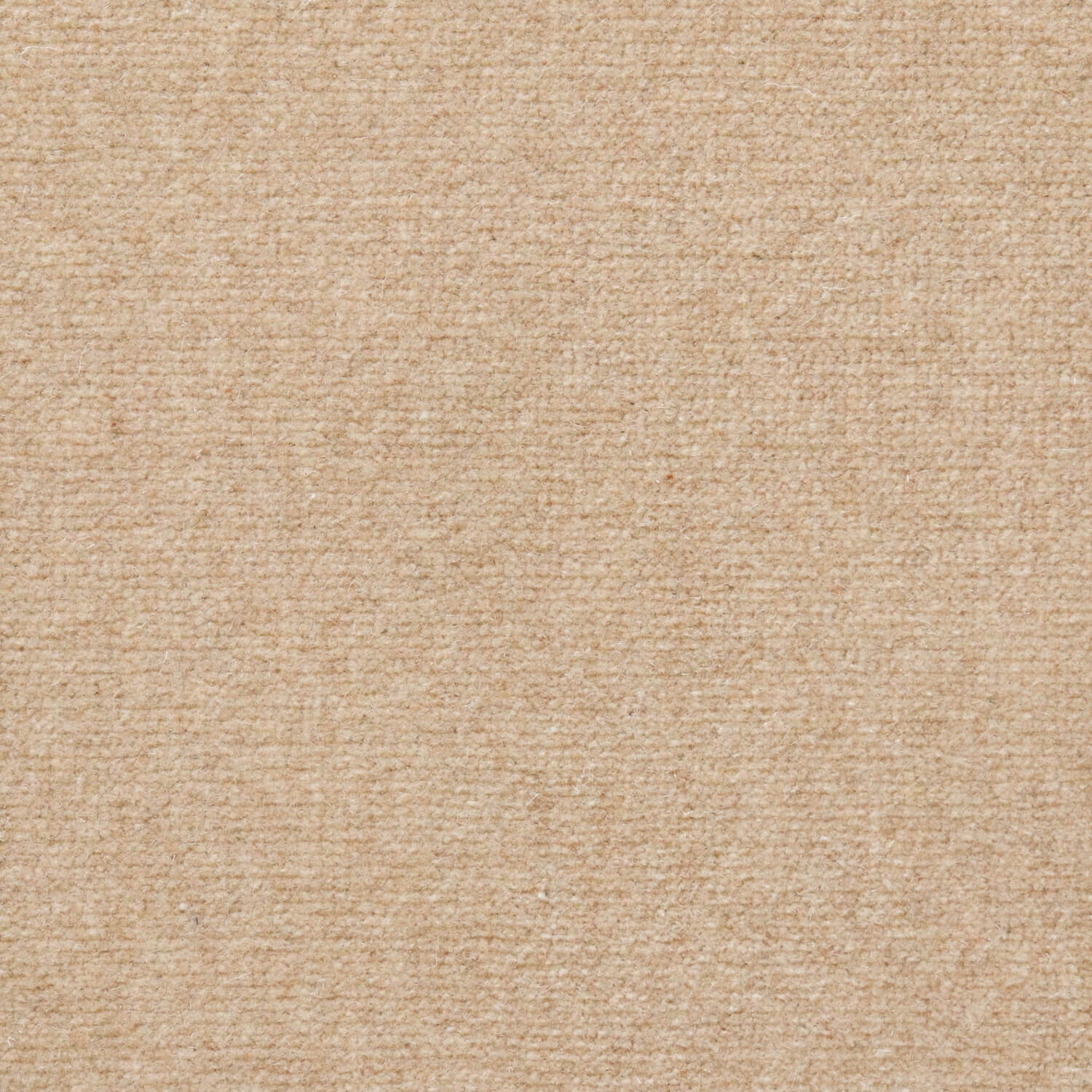 Emir - Oatmeal - Bloomsburg Carpet