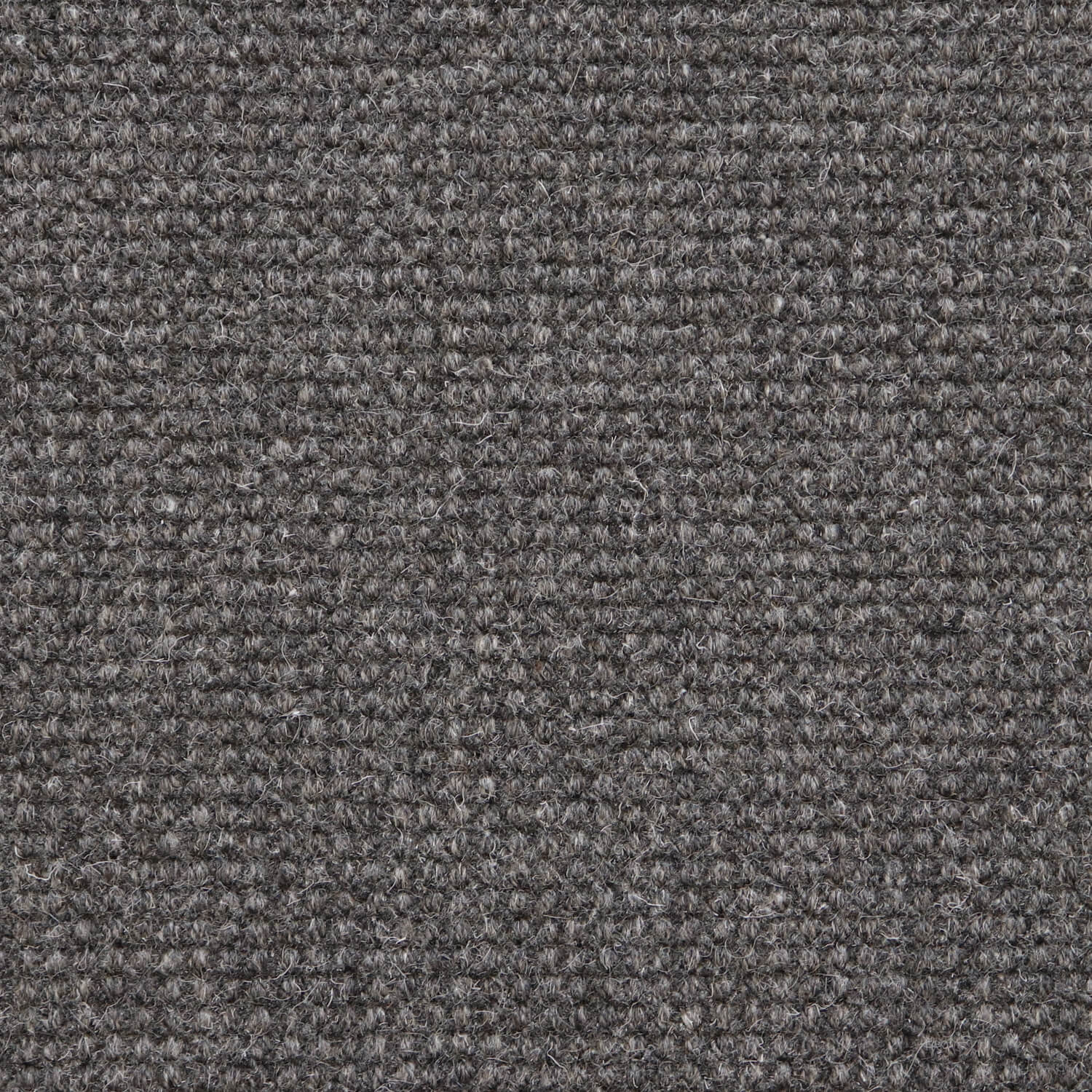 Penn Tex - Sand Dune - Bloomsburg Carpet