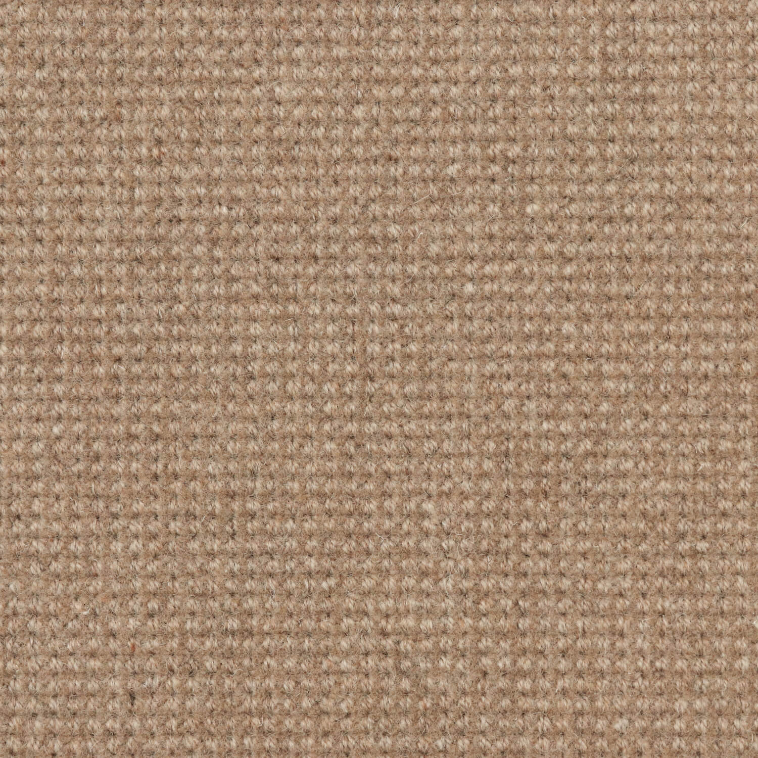 Mojave - Oatmeal - Bloomsburg Carpet