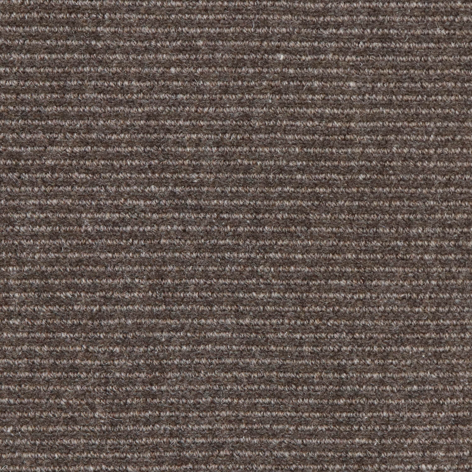 Tigris - Platinum - Bloomsburg Carpet