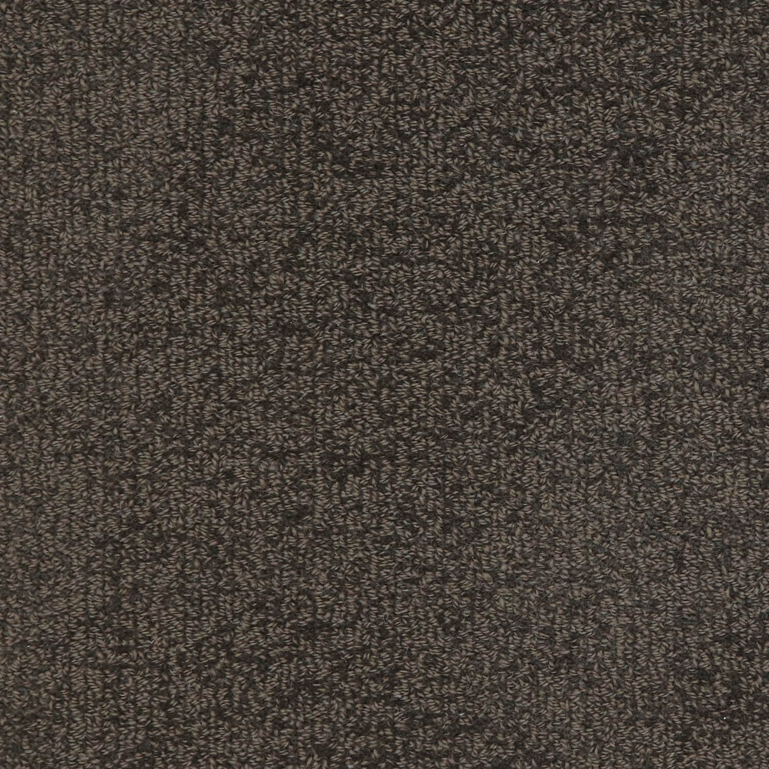 Wool Shear - Wheat - Bloomsburg Carpet
