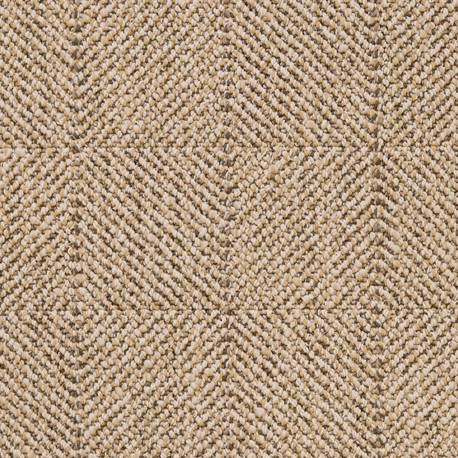 Donegal - Tannins - Bloomsburg Carpet